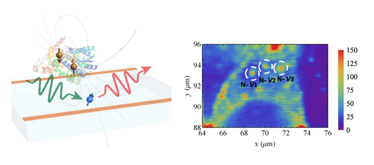 International Joint Laboratory on Quantum Sensing and Quantum Metrology ...